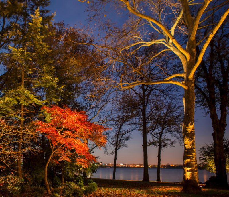 Bullet Lights – Impact Lighting Inc